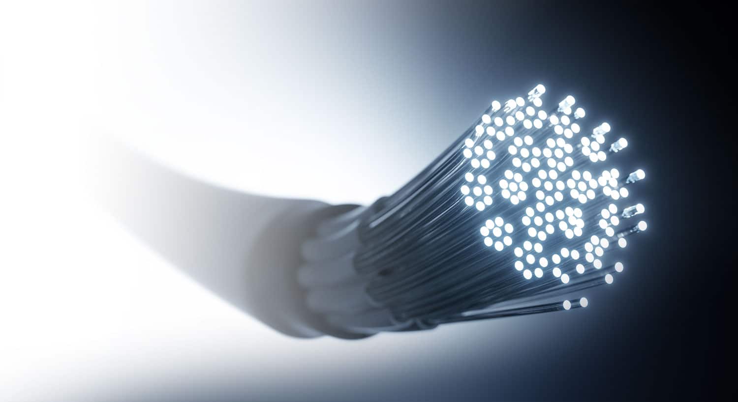 Discover a Little-known Reason Fiber Internet Makes Your Business More ...